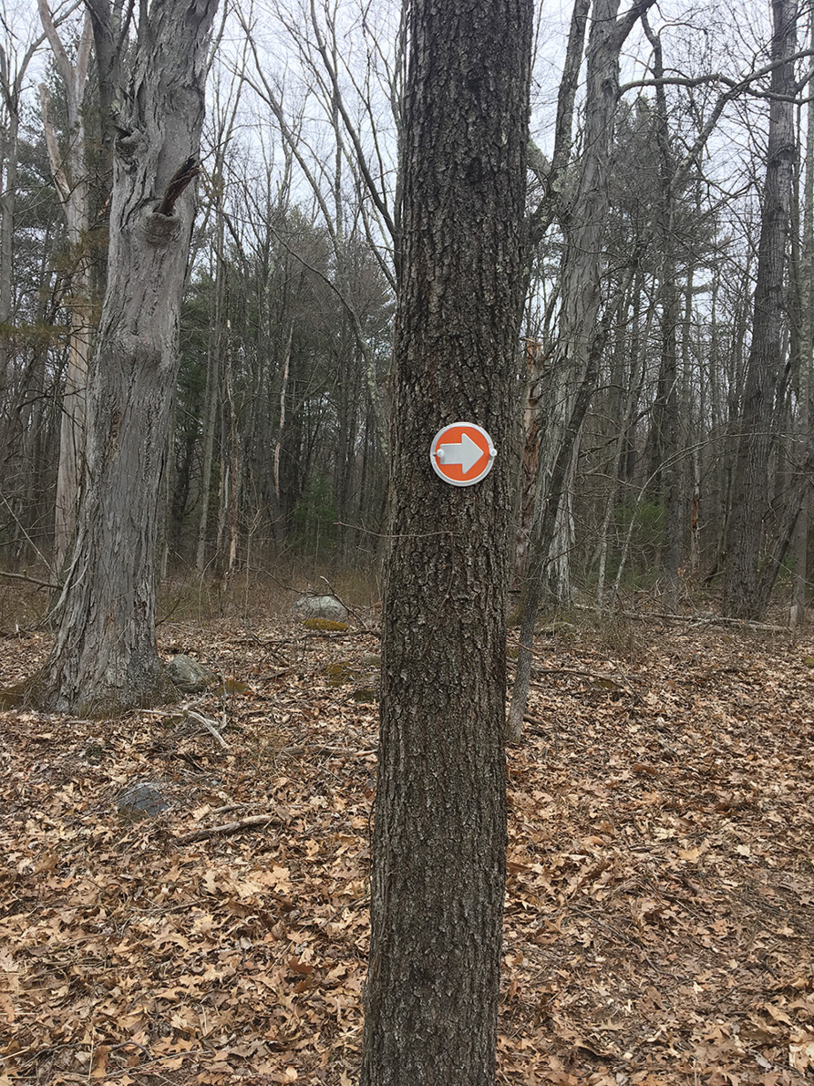 Seth and Lucy Holcombe Preserve to open June 3 - Granby Drummer