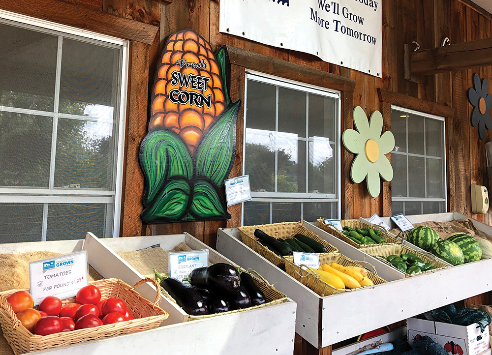 Clark Farm extends apple U-Pick - Granby Drummer