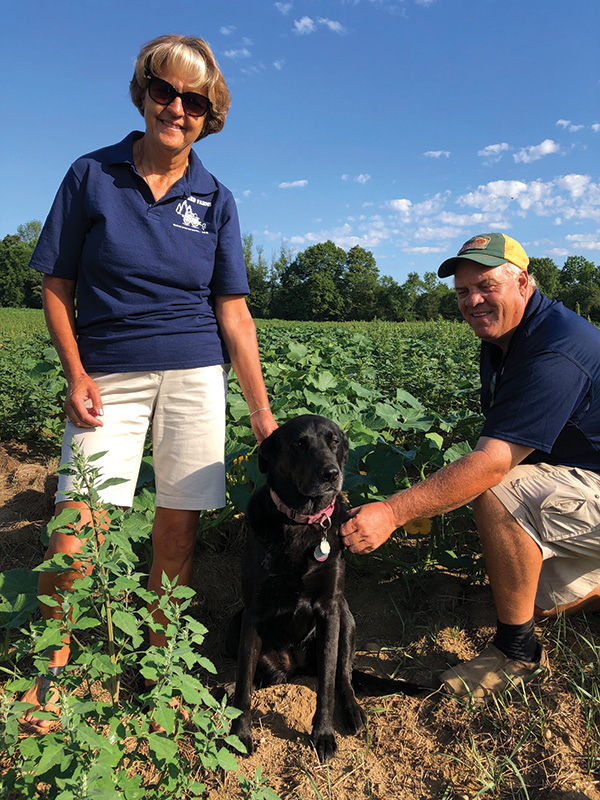 New life for the former Davis Farm - Granby Drummer