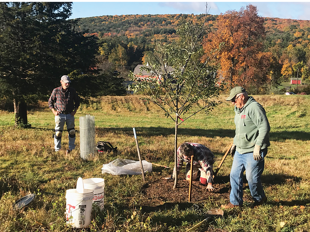Friends of Holcomb Farm - Granby Drummer