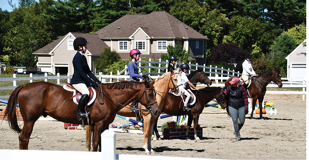 Autumn is a fine season at Valkyrie Equestrian Center - Granby Drummer
