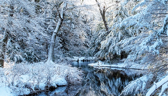 March Brings the Beauty of Winter | Granby Drummer