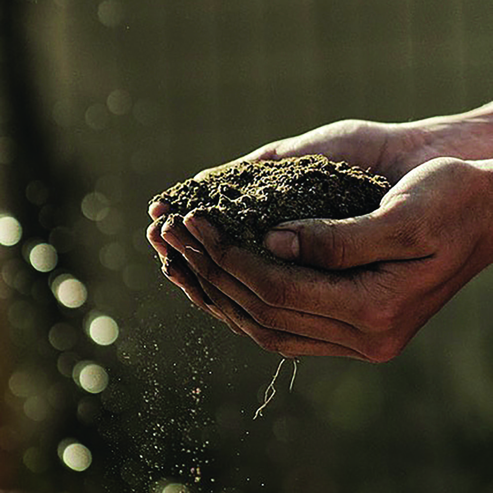 Granby Residential Composting Program is sooo close to Blue Earth ...